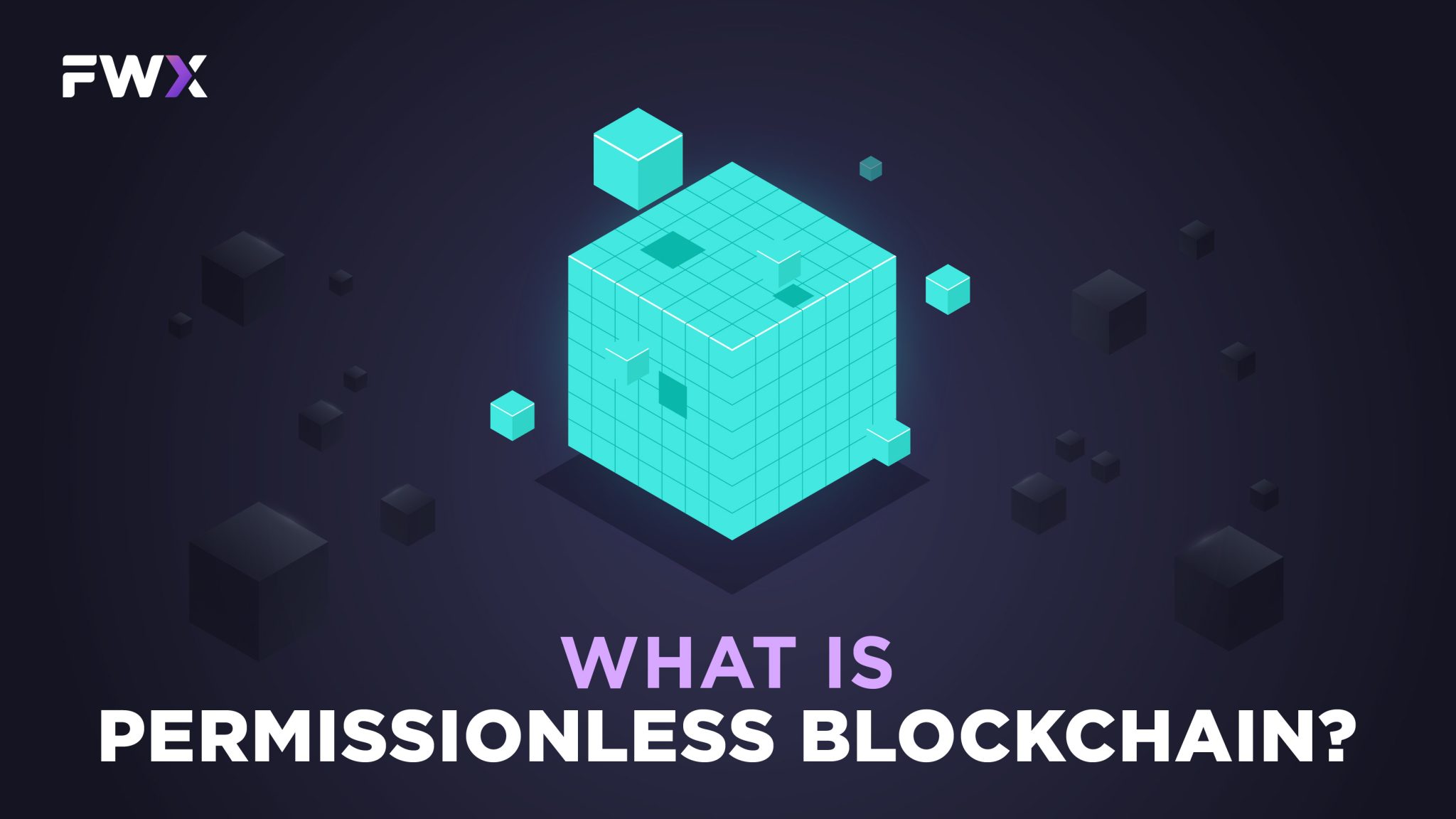 Permissionless Blockchain Decentralized And Open To The Public Fwx